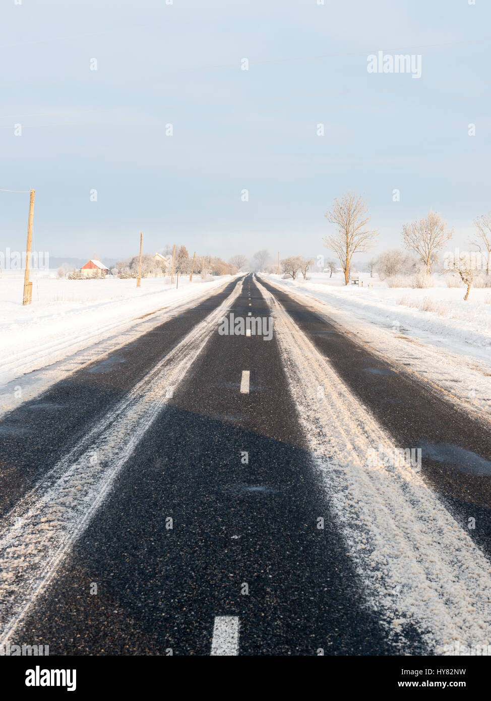 empty road in the countryside with trees in surrounding. perspective in ...