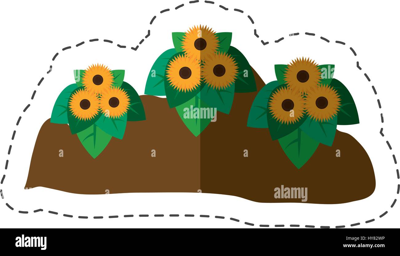 beautiful flowers growing in a soil over white background. colorful ...