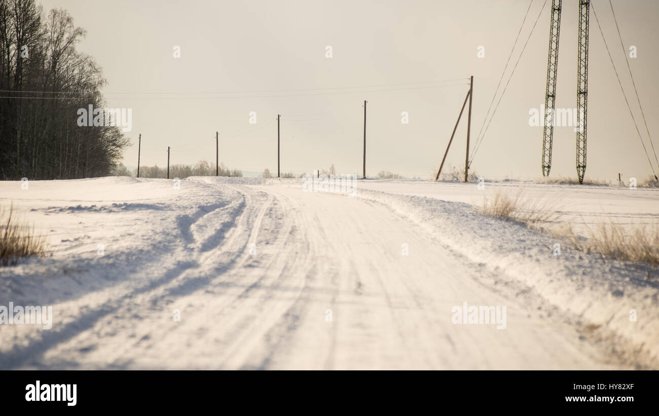 empty road in the countryside with trees in surrounding. perspective in ...