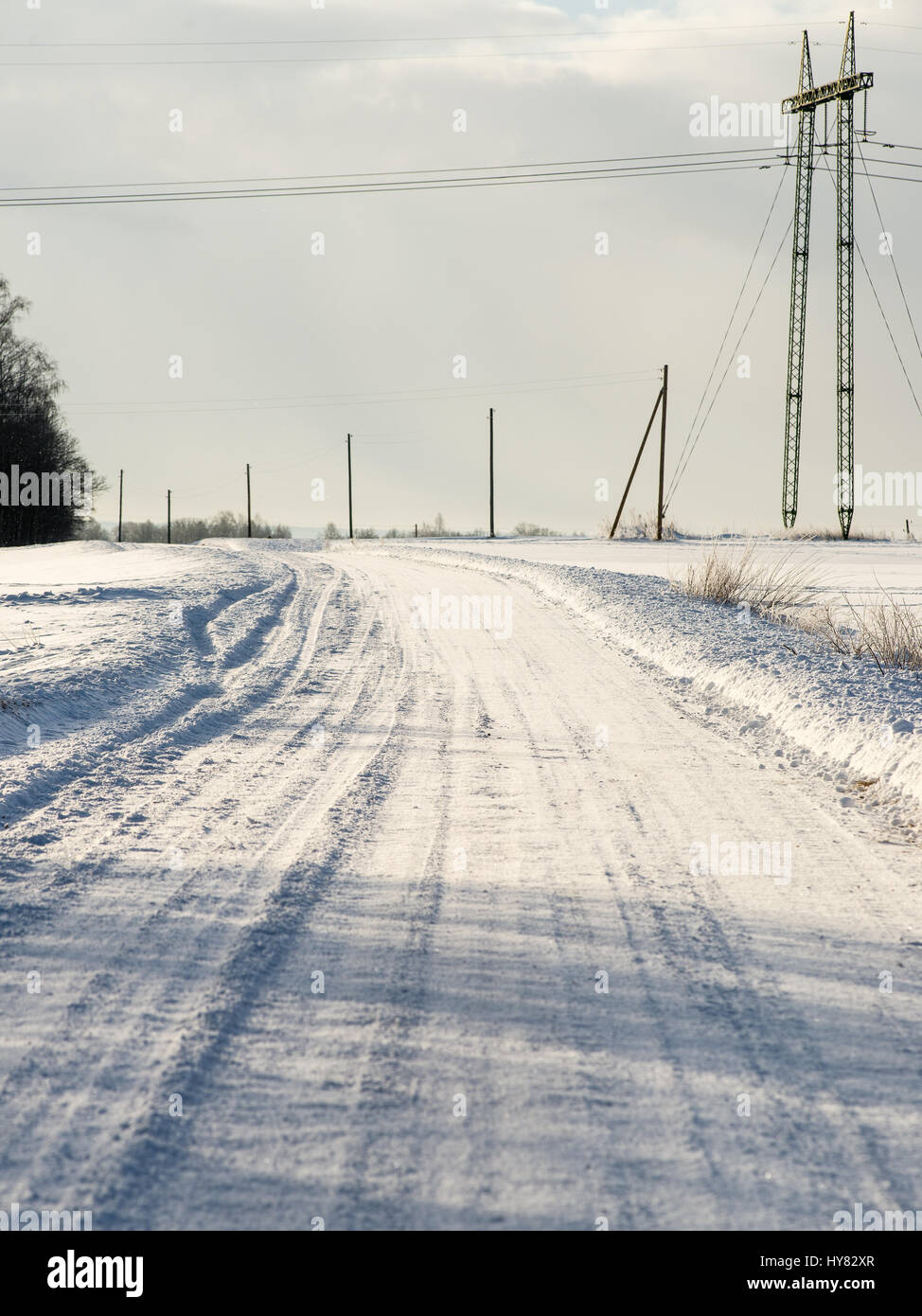 empty road in the countryside with trees in surrounding. perspective in ...