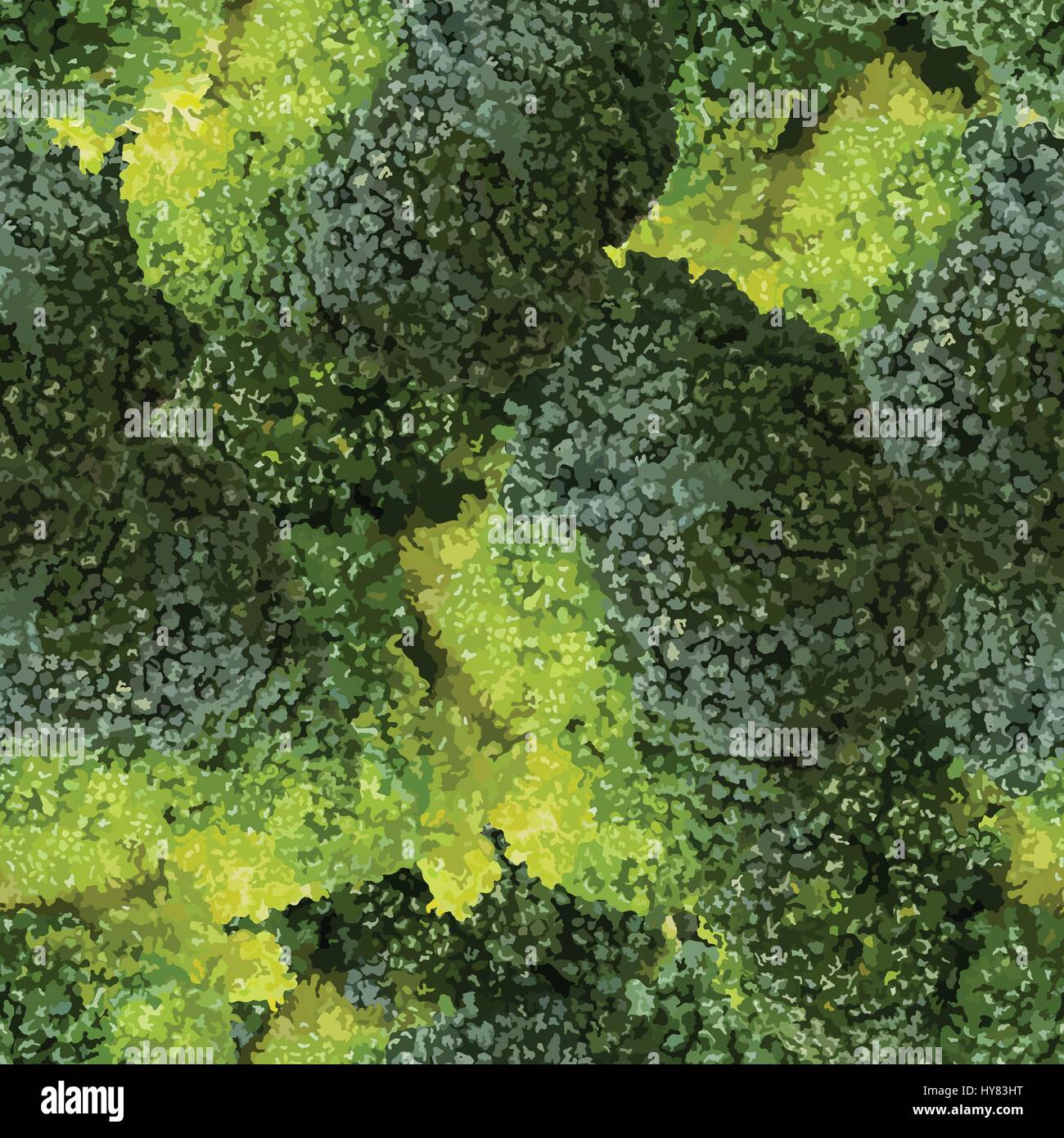 Green broccoli isolated on white top view vector illustration Stock ...