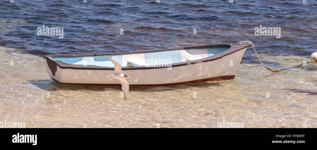 Afloat colour hi-res stock photography and images - Alamy