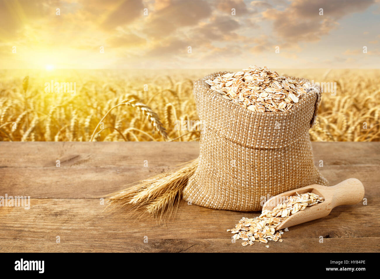 Oat flakes in sack. Ears of oats and oatmeal in bag on table with ripe ...