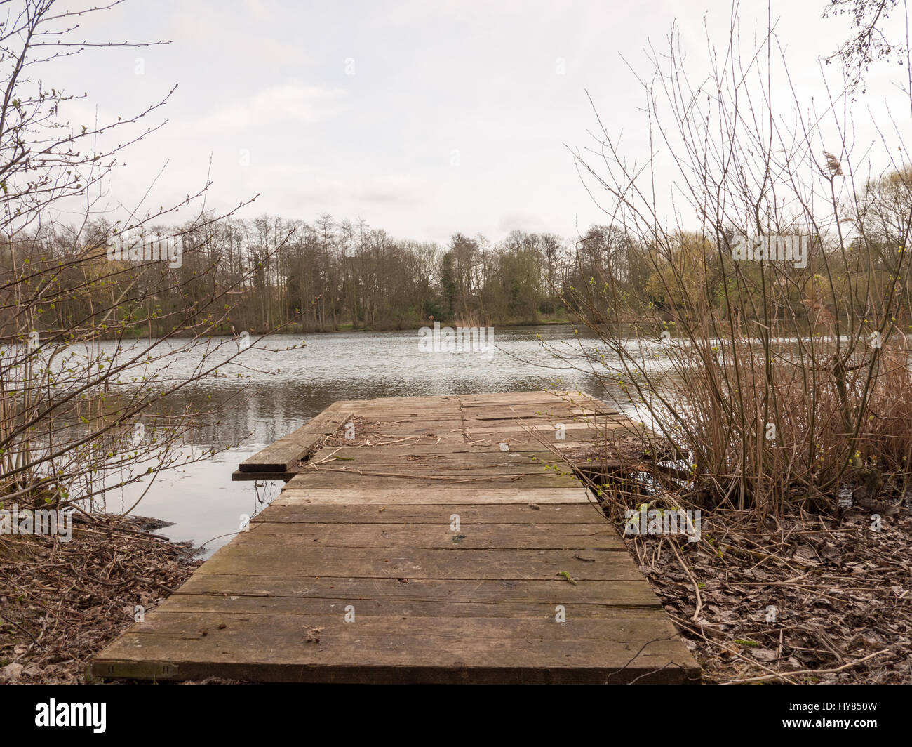 Wood plank into lake near sunset Stock Photo - Alamy