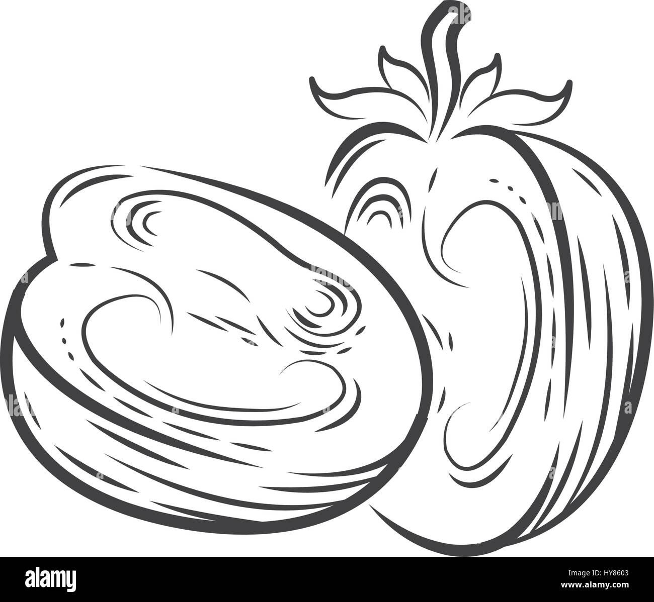 Tomato Cut half vector drawing Stock Vector Image & Art - Alamy