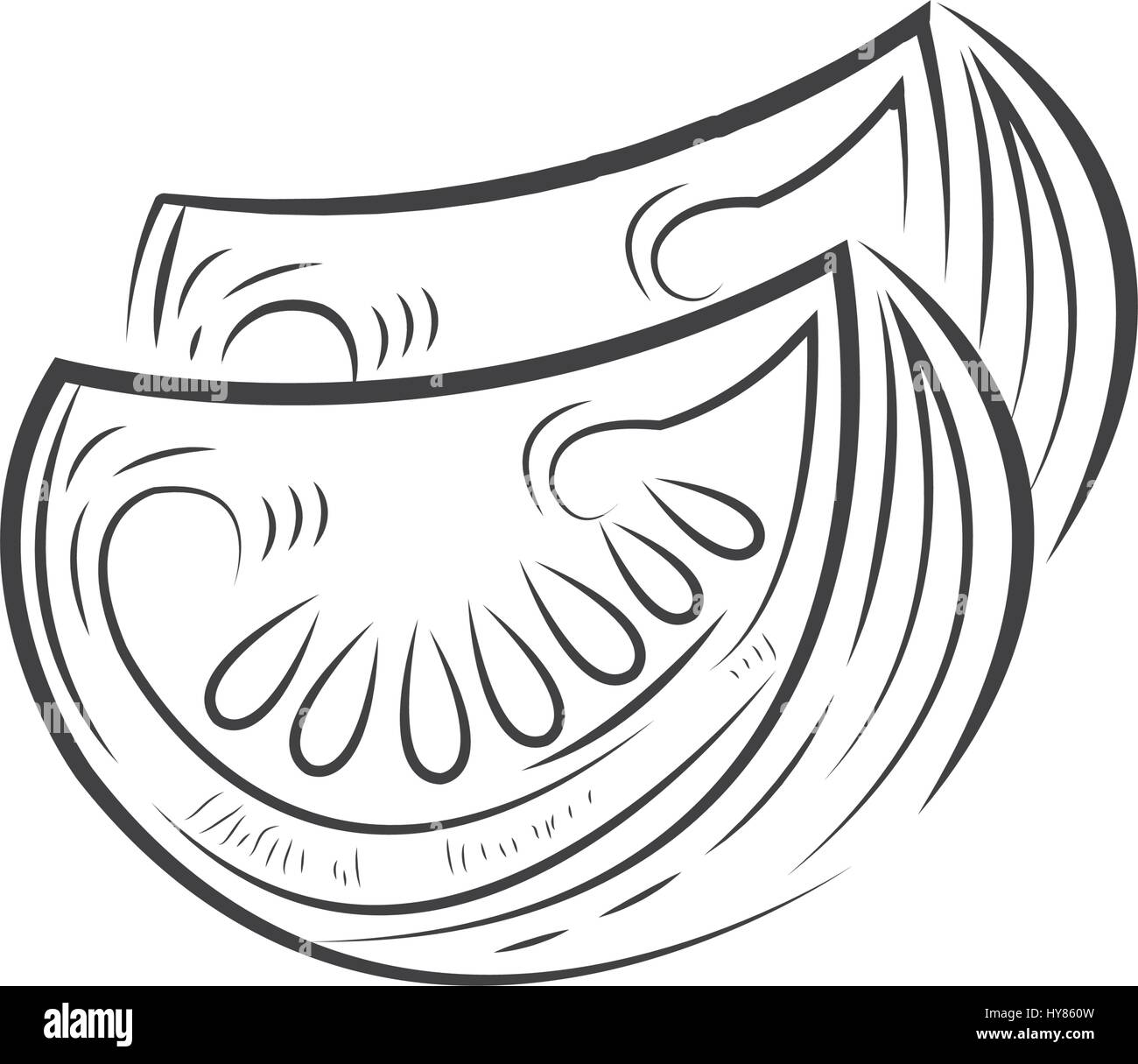 Cut half tomato vector drawing hi-res stock photography and images - Alamy