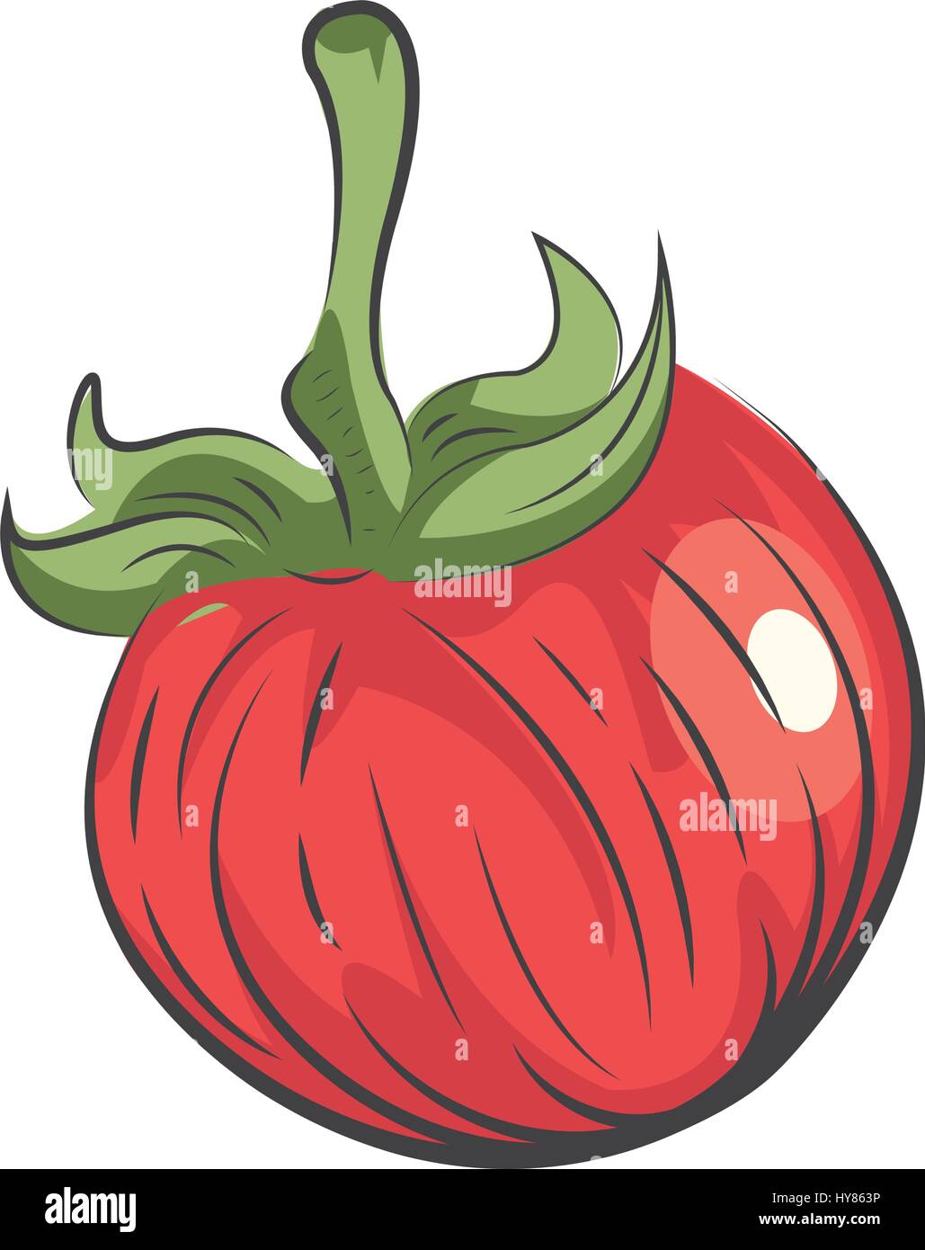 Tomato vector drawing watercolor Stock Vector Image & Art - Alamy