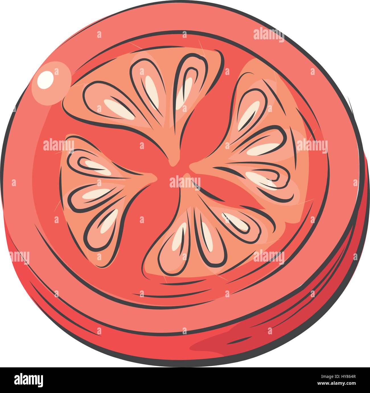 Tomato sliced vector drawing Stock Vector Images - Alamy