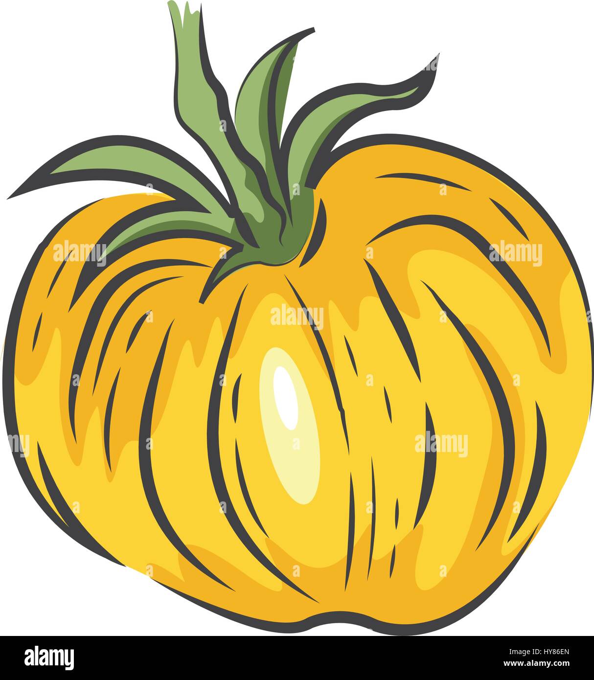 yellow a Tomato drawing icon Stock Vector Image & Art - Alamy