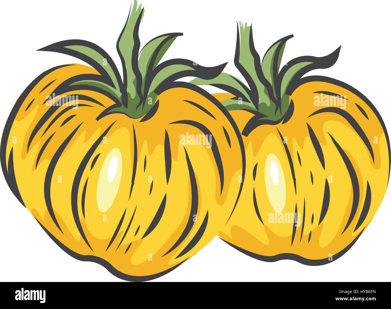 yellow Two Tomato drawing icon Stock Vector Image & Art - Alamy