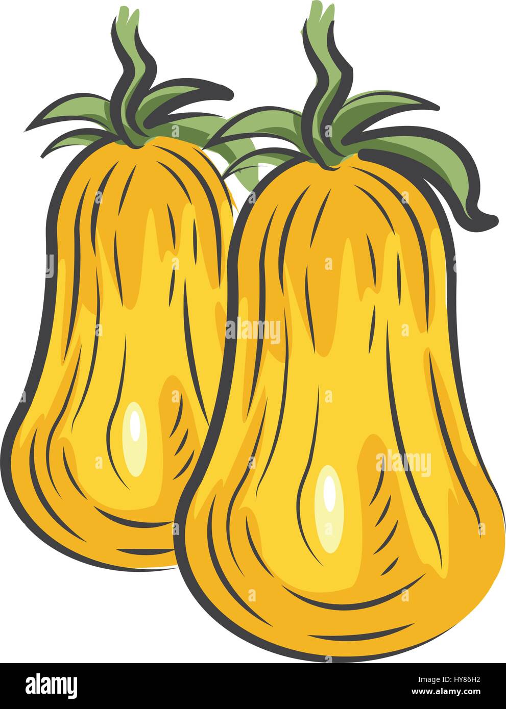 Two tomato Stock Vector Images - Alamy