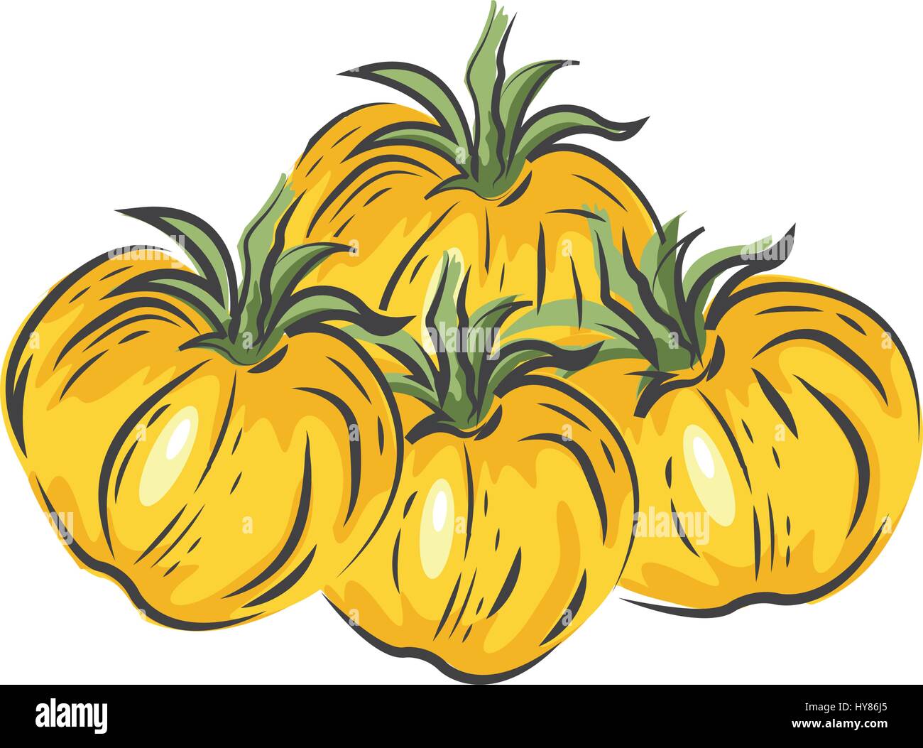 vector yellow Tomato drawing icon Stock Vector Image & Art - Alamy