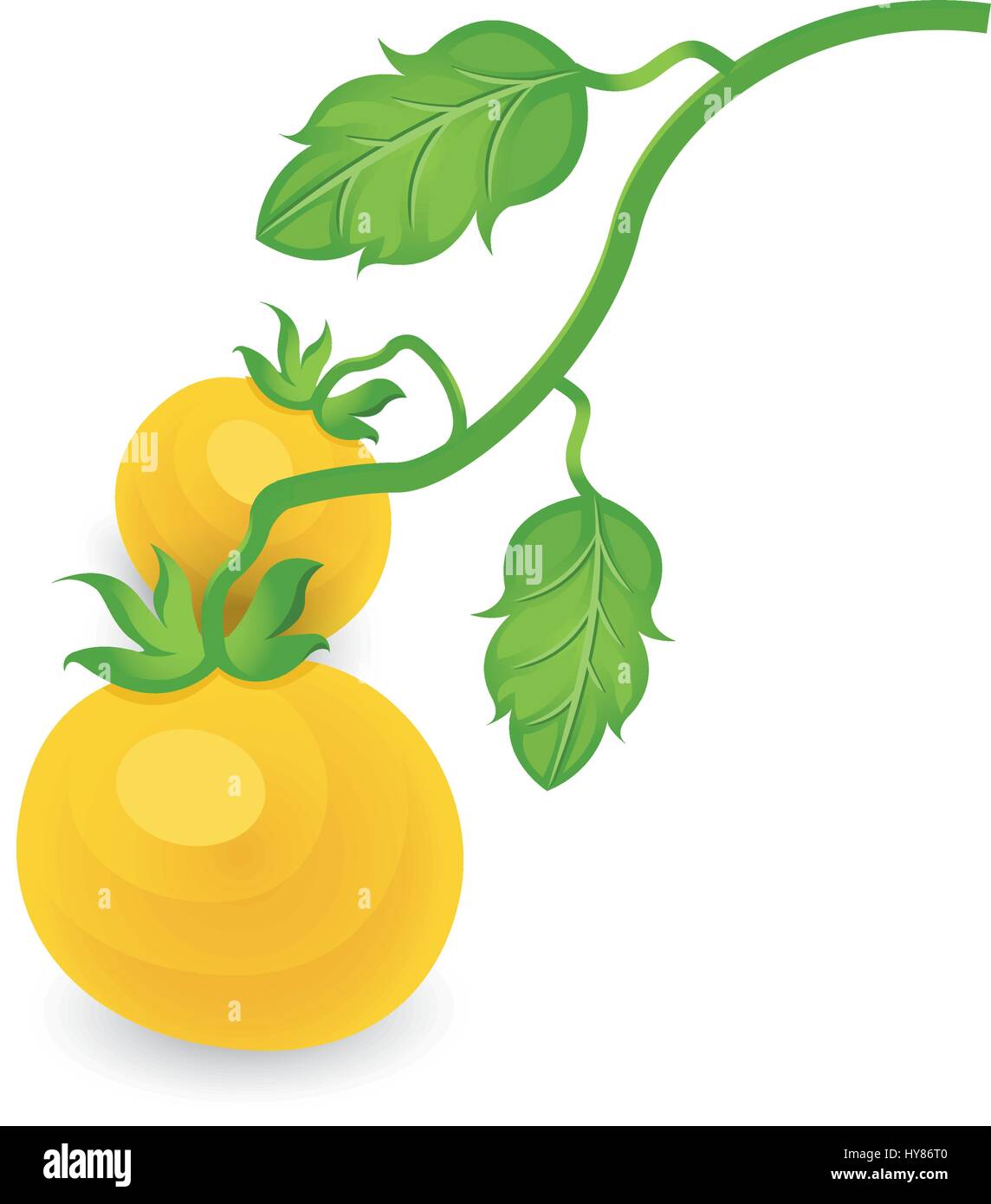 The tree yellow Stock Vector Images - Alamy