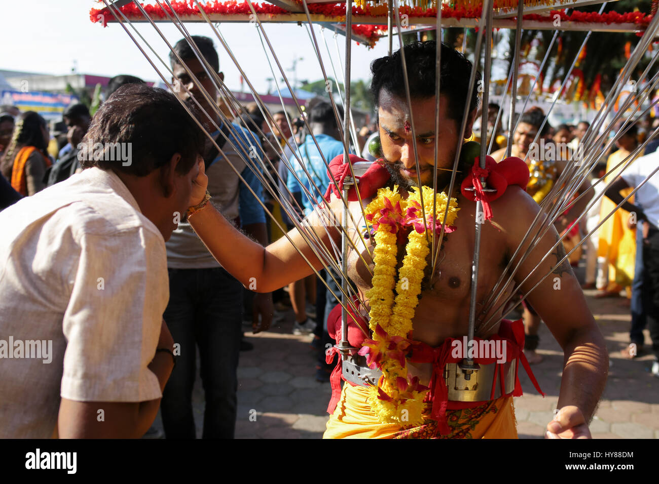 Thaipusam kavadi bearer bestows blessing to a believer at Batu Cave ...