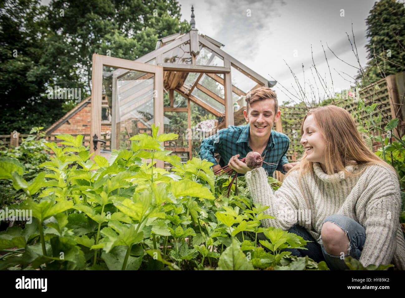Two young gardeners work in their vegetable garden Stock Photo - Alamy
