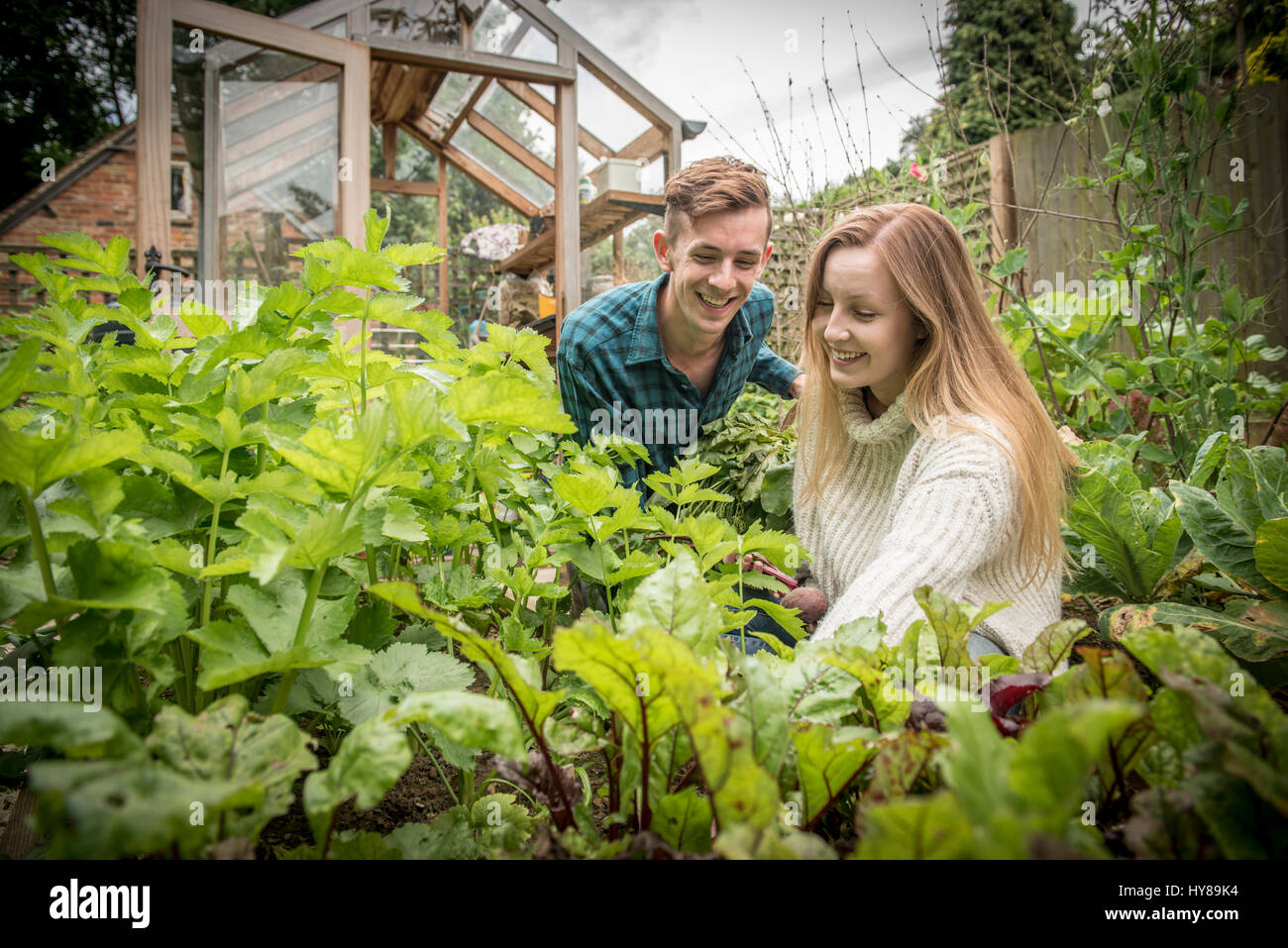 Two young gardeners work in their vegetable garden Stock Photo - Alamy