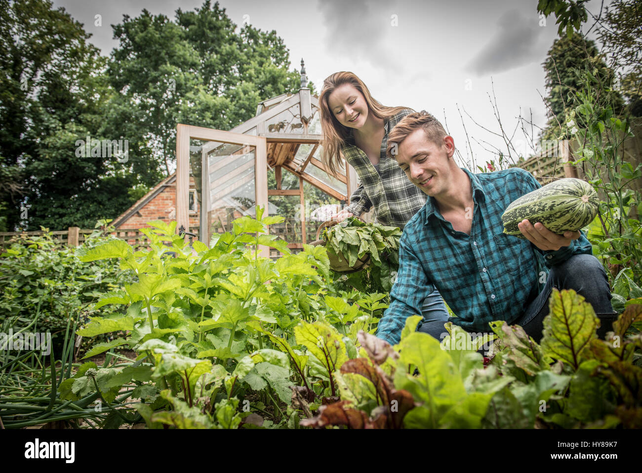 Two young gardeners work in their vegetable garden Stock Photo - Alamy