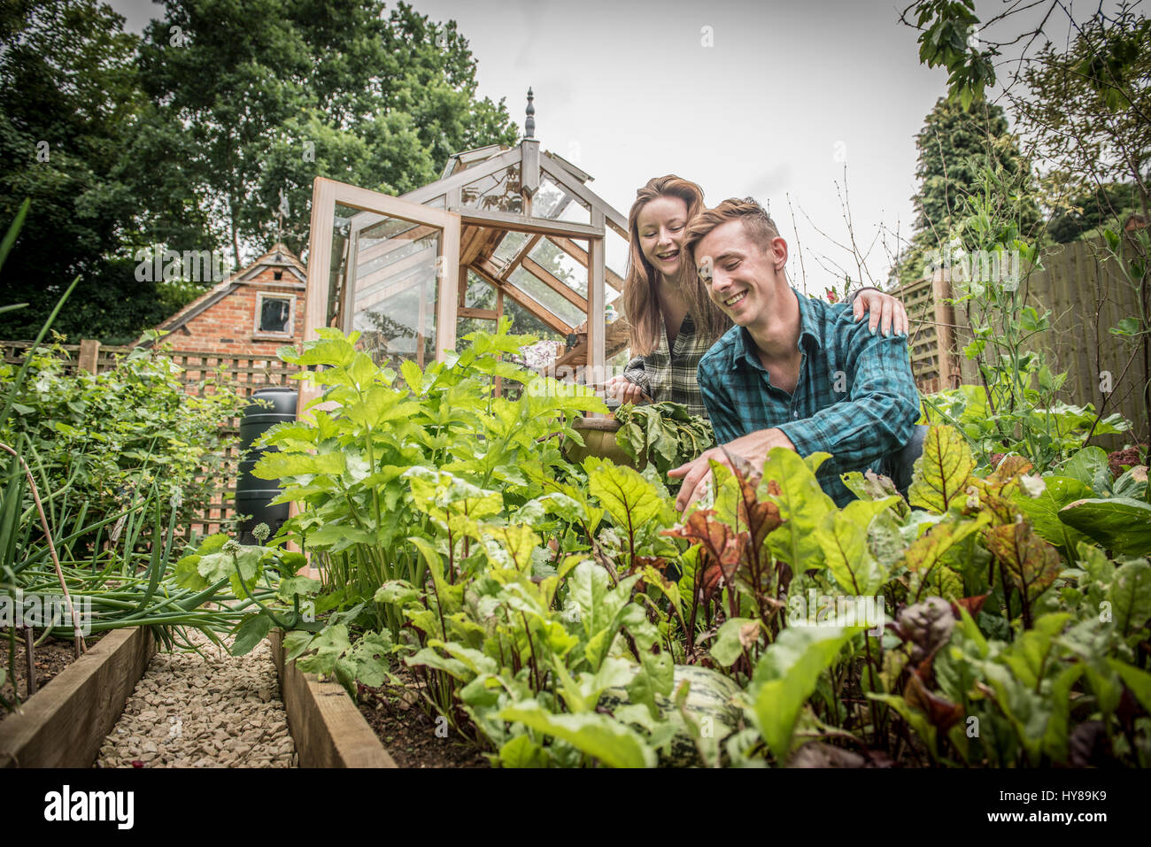 Two young gardeners work in their vegetable garden Stock Photo - Alamy