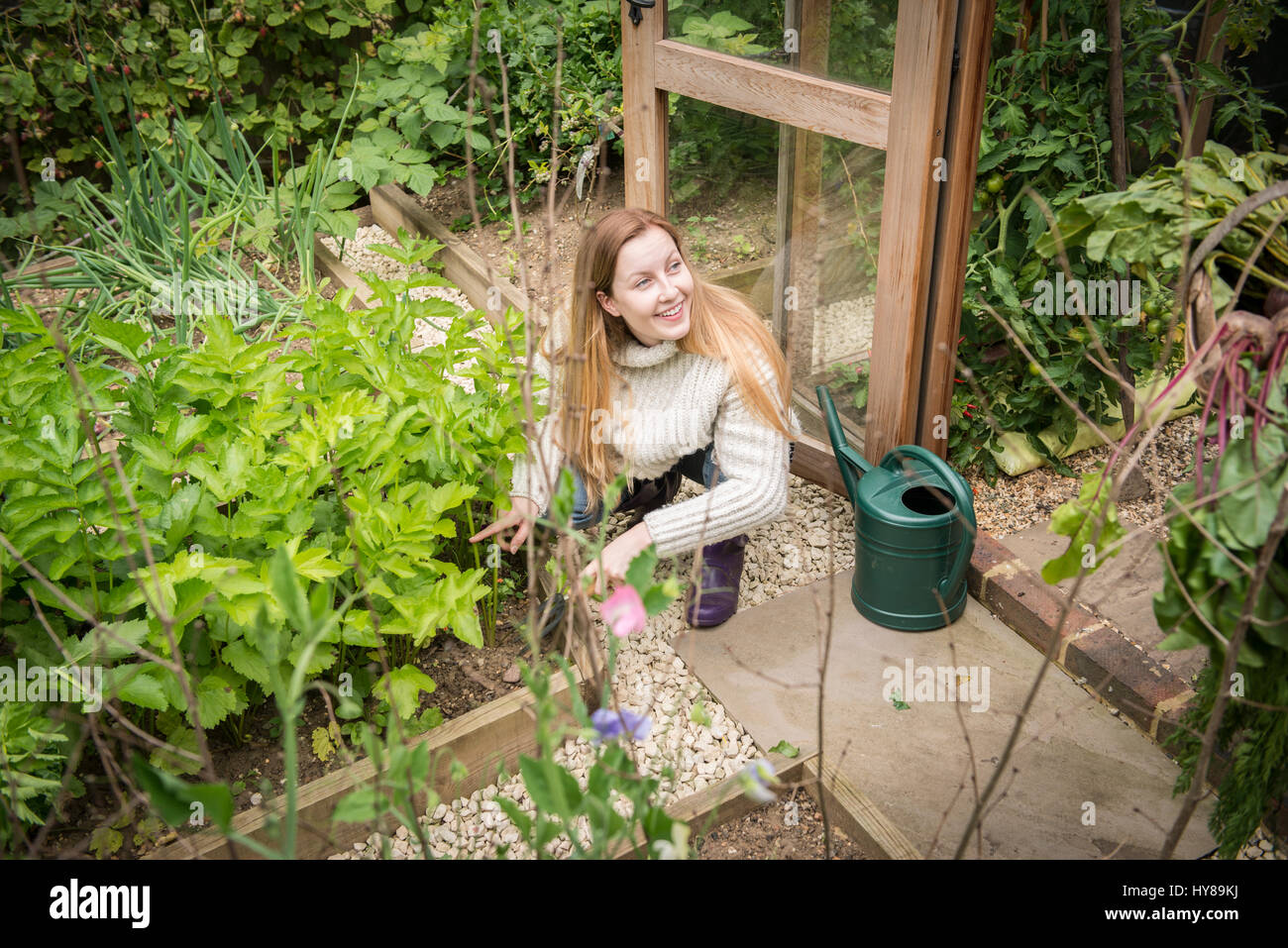 A young female gardener works in her allotment Stock Photo - Alamy