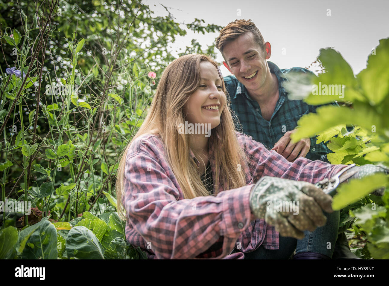 Two young gardeners work in their vegetable garden Stock Photo - Alamy