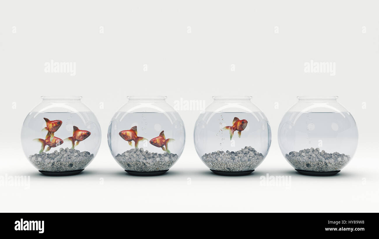 Goldfish 3d rendering hi-res stock photography and images - Alamy