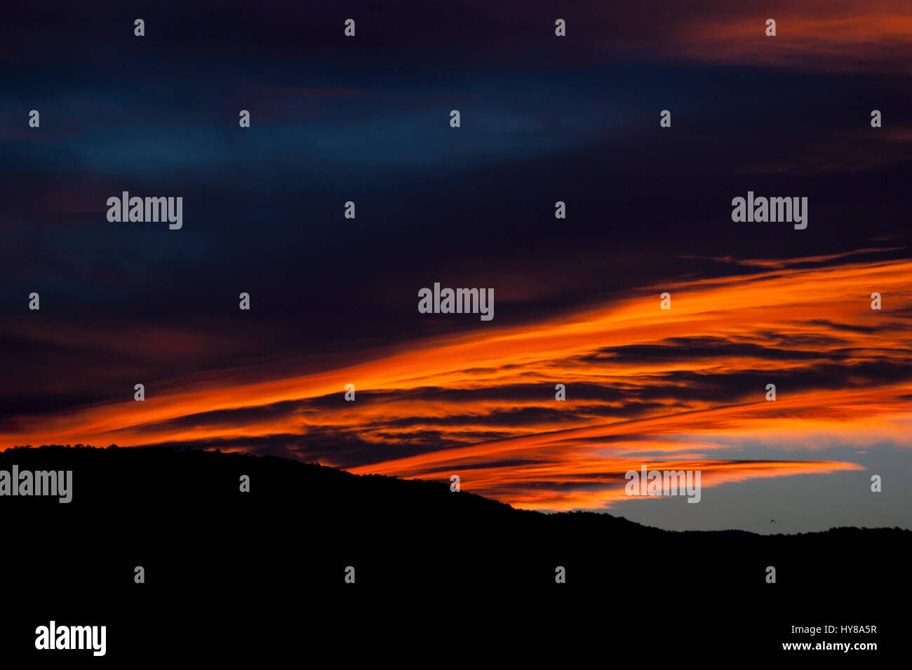 Warm color hi-res stock photography and images - Alamy