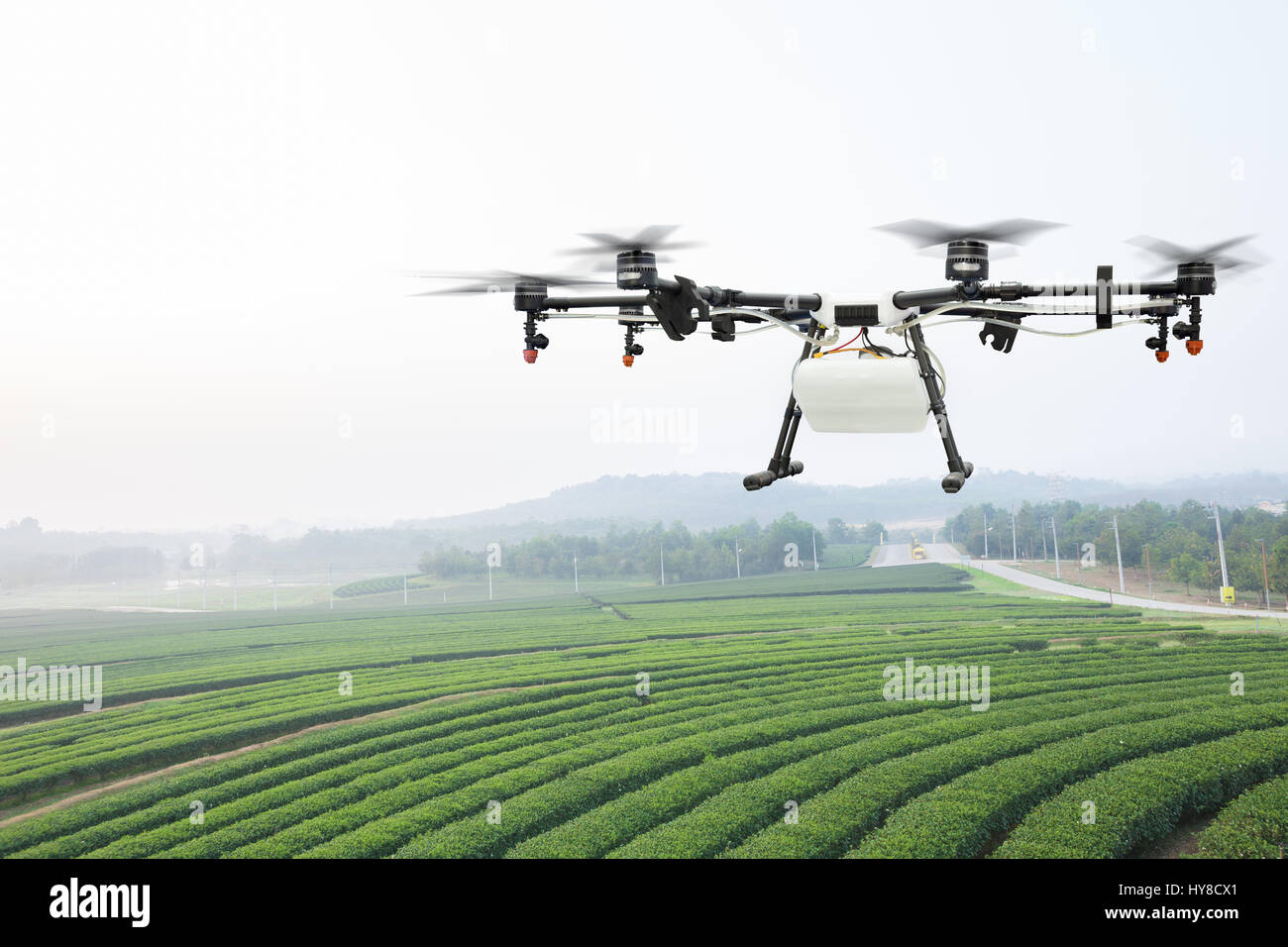 Agriculture drone on the green tea field Stock Photo - Alamy
