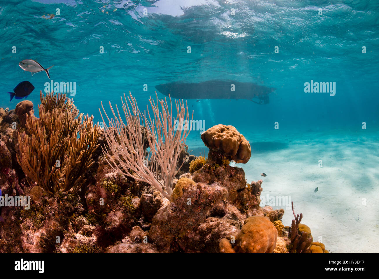 A boat moored in a shallow lagoon on a tropical coral reef Stock Photo ...