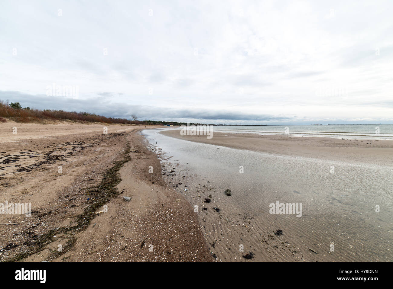 wild beach with old tree trunks and clouds over the shore Stock Photo ...