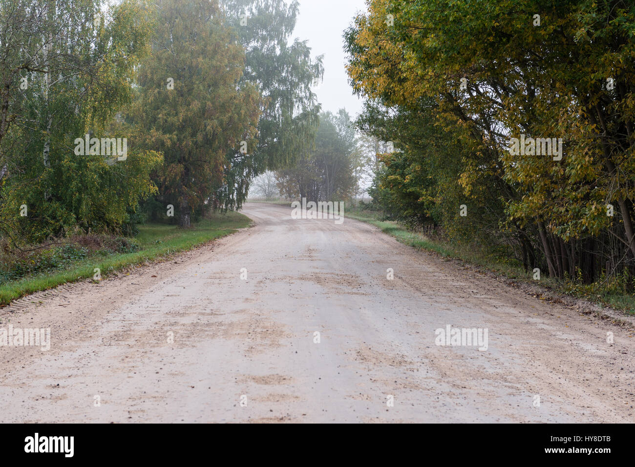 empty road in the countryside with trees in surrounding. perspective in ...
