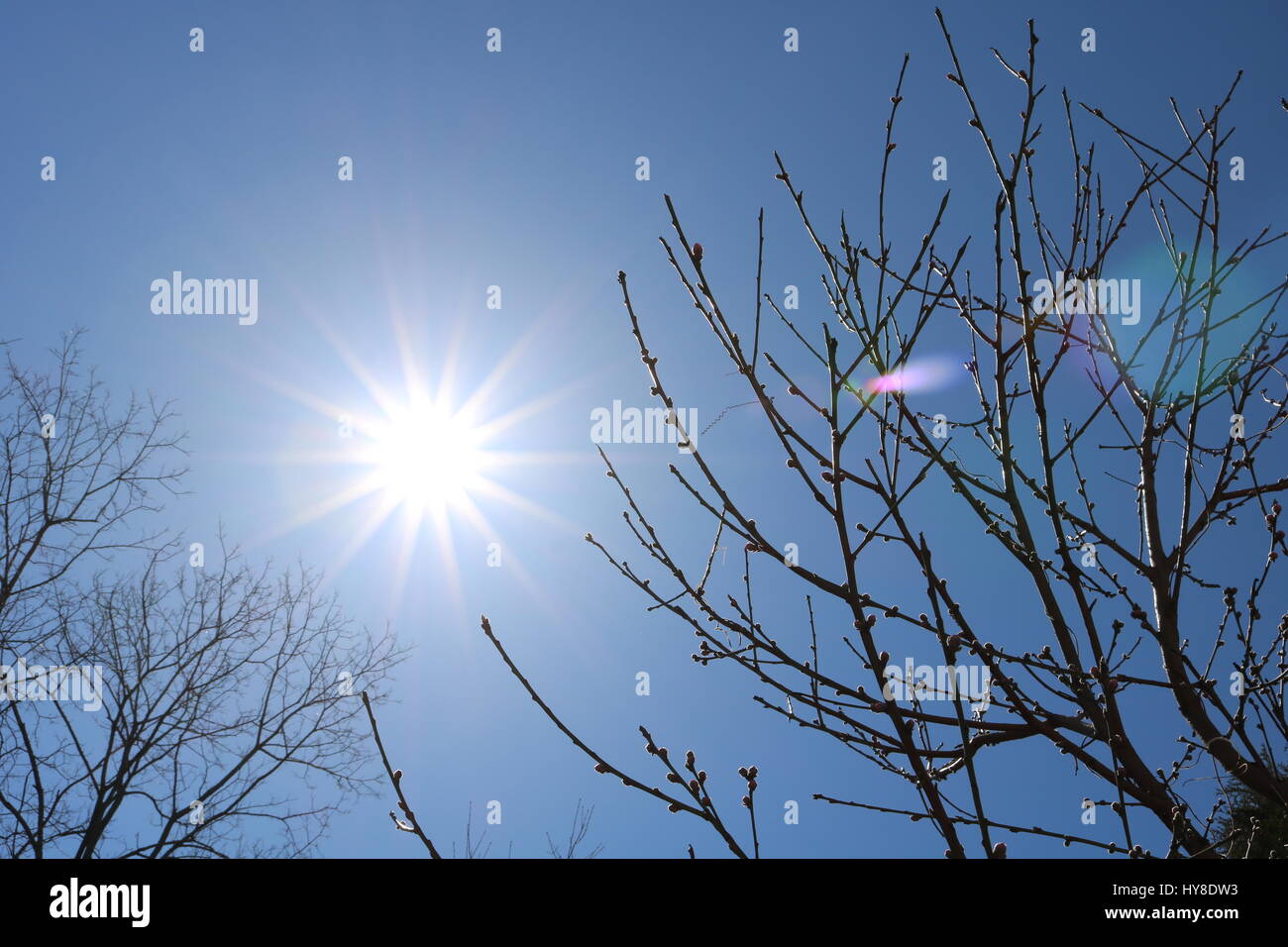 Longing for sun hi-res stock photography and images - Alamy