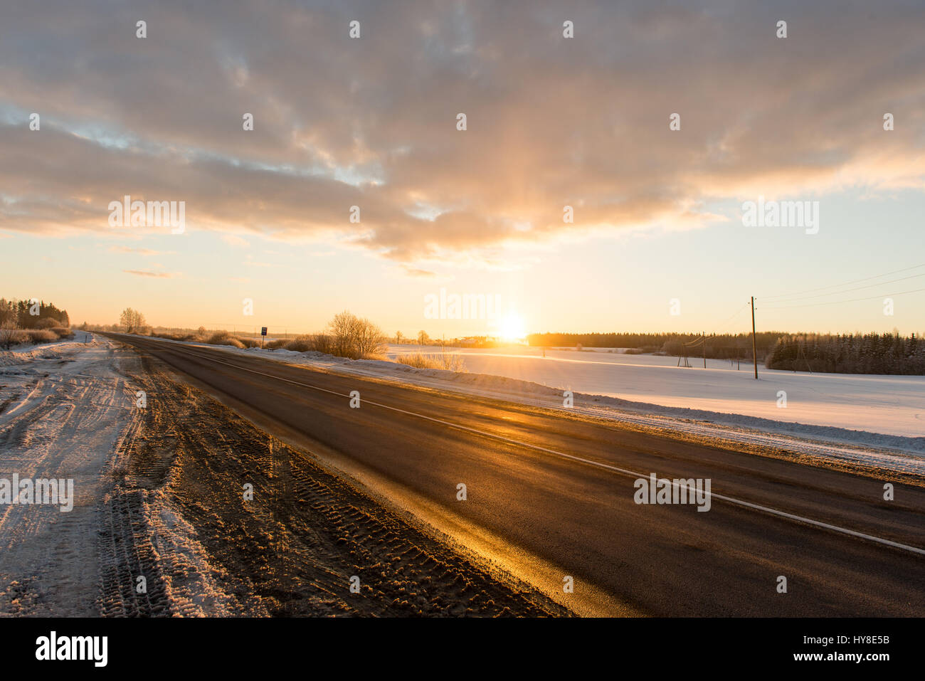 empty road in the countryside with trees in surrounding. perspective in ...