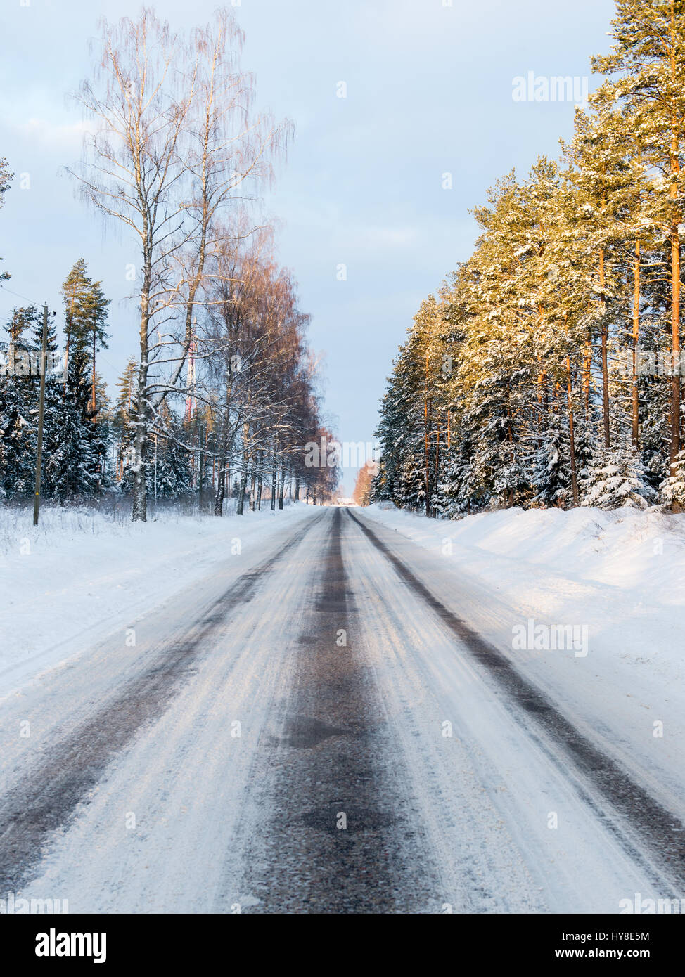 empty road in the countryside with trees in surrounding. perspective in ...