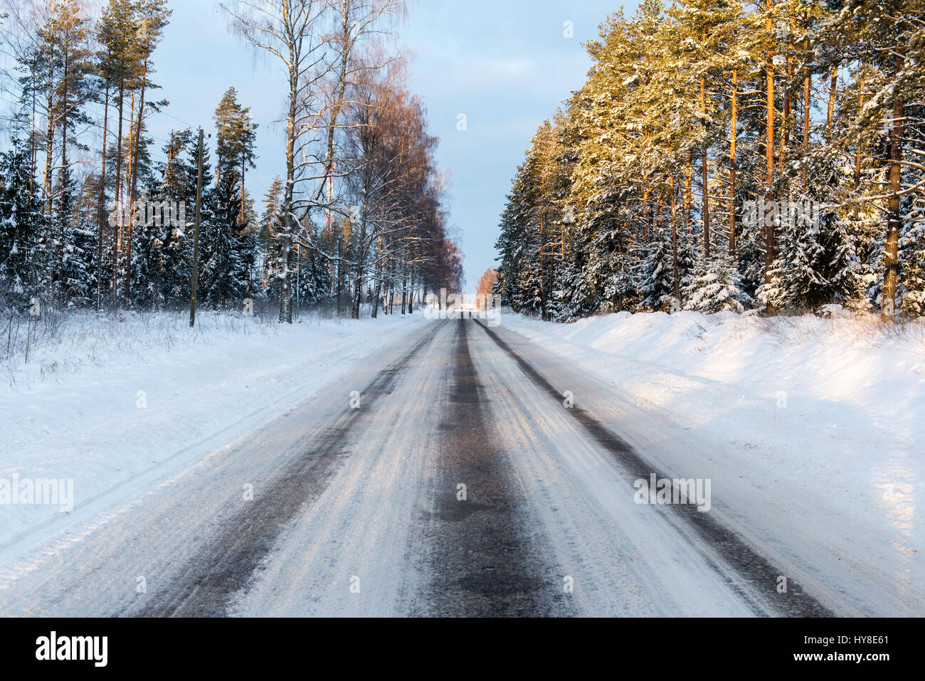empty road in the countryside with trees in surrounding. perspective in ...