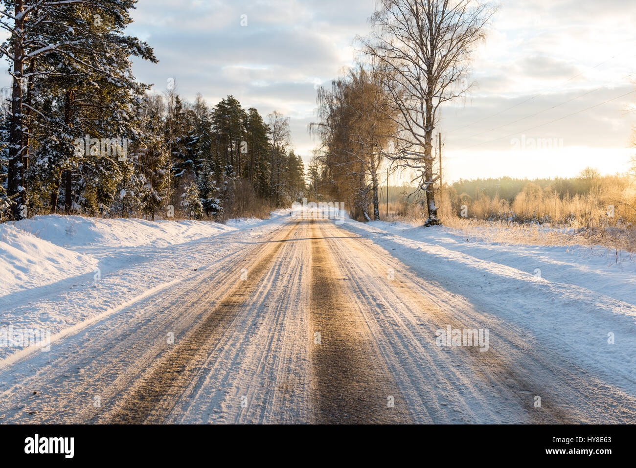 empty road in the countryside with trees in surrounding. perspective in ...