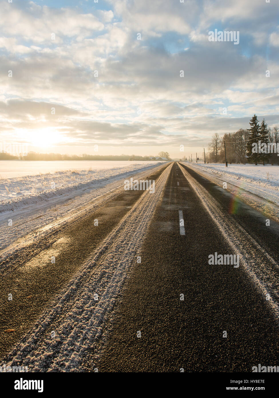 empty road in the countryside with trees in surrounding. perspective in ...