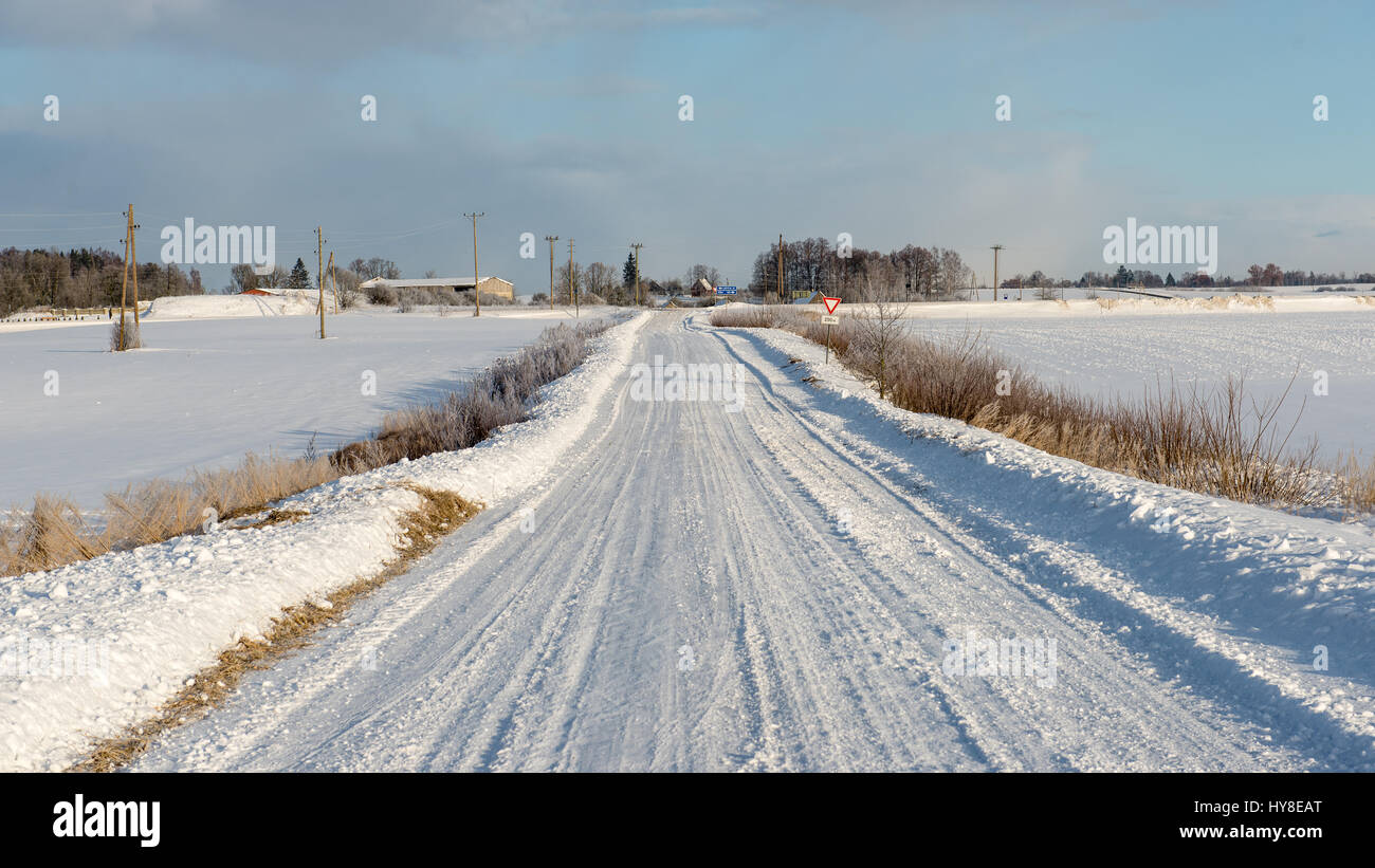empty road in the countryside with trees in surrounding. perspective in ...