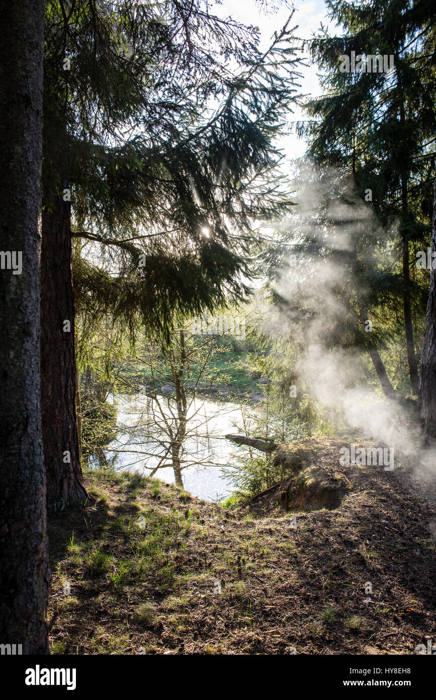 beautiful river in forest with reflections and trees on both sides of ...