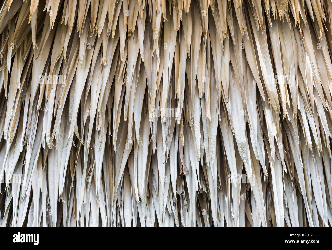 Dry palm hut hi-res stock photography and images - Alamy