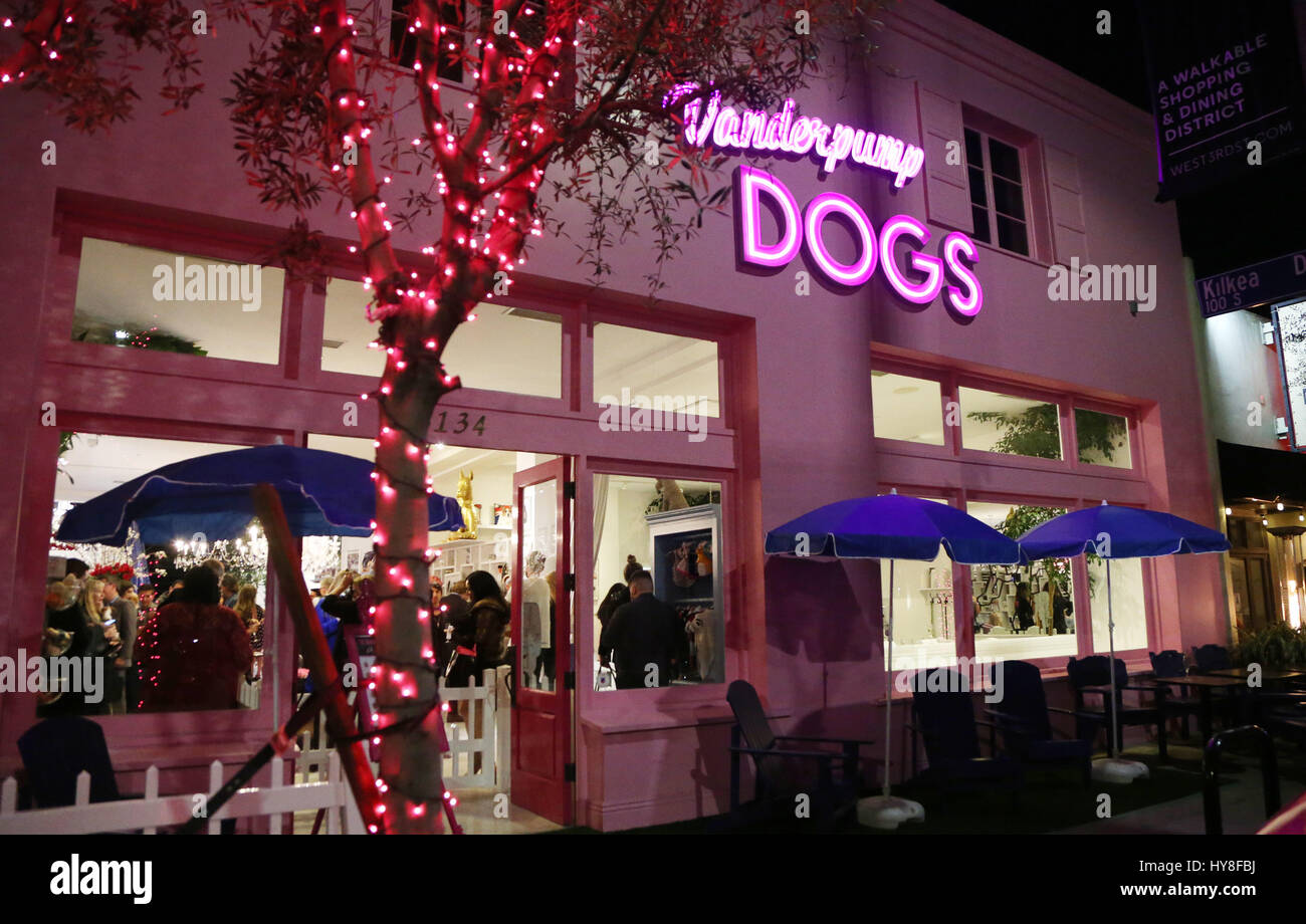 The Opening of The New Vanderpump Dogs Rescue Center Featuring ...