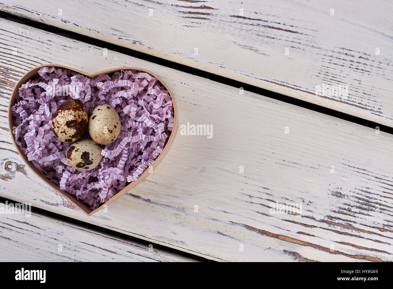 Quail eggs in shredded paper. Top view of heart box. Love and new life ...