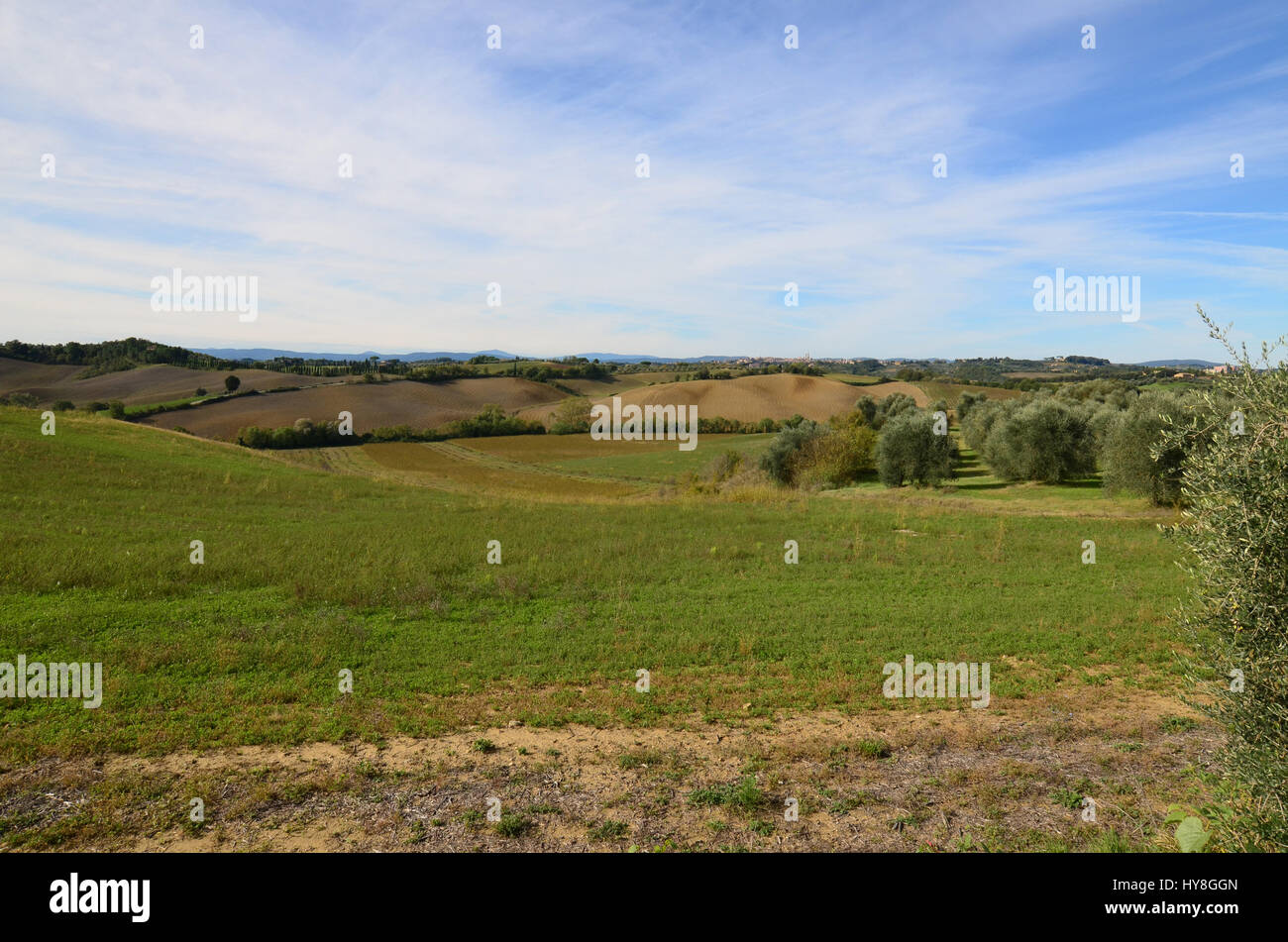 Beautiful fields in Tuscany Italy Stock Photo - Alamy