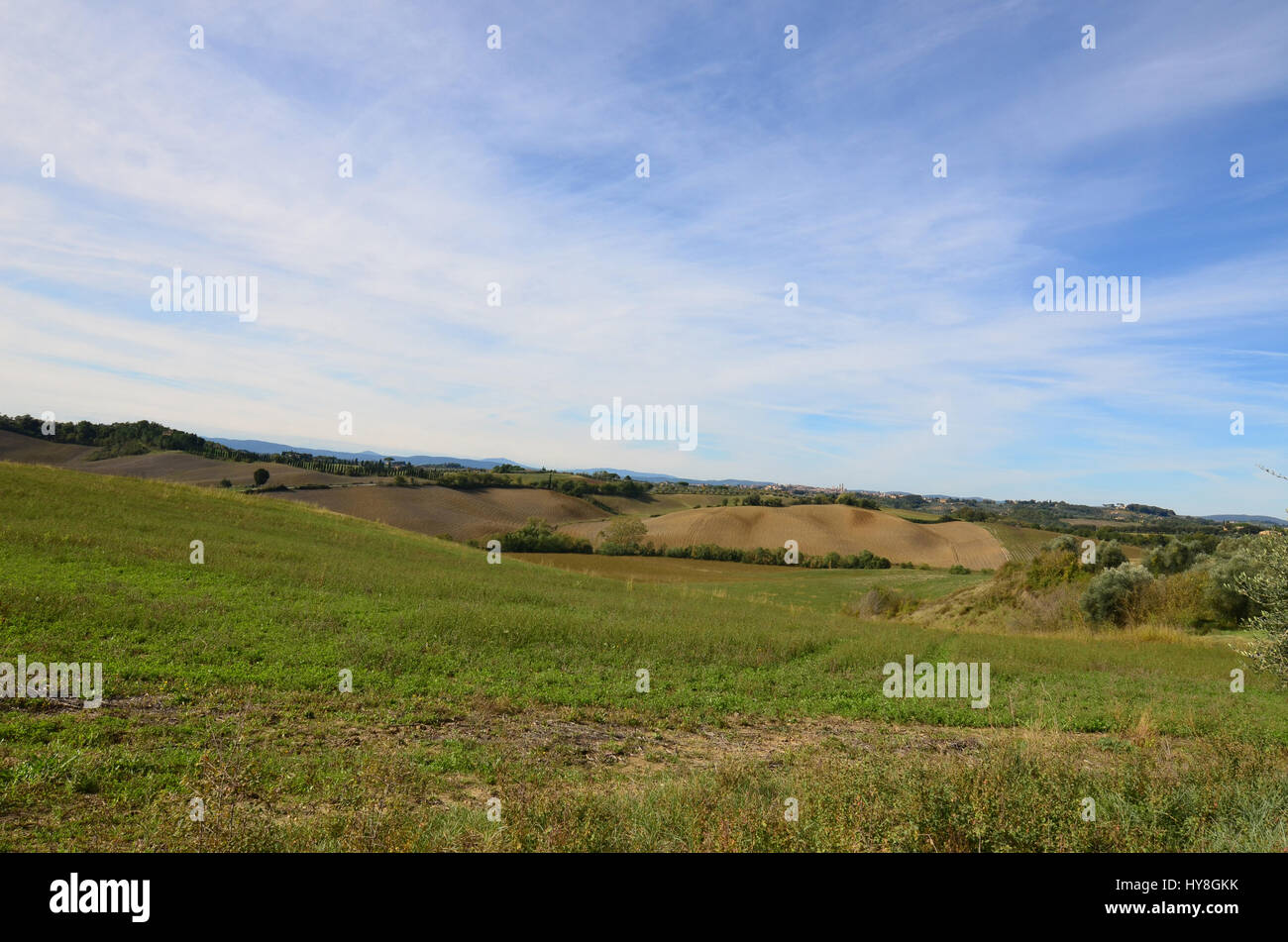 Endless green fields in italy hi-res stock photography and images - Alamy
