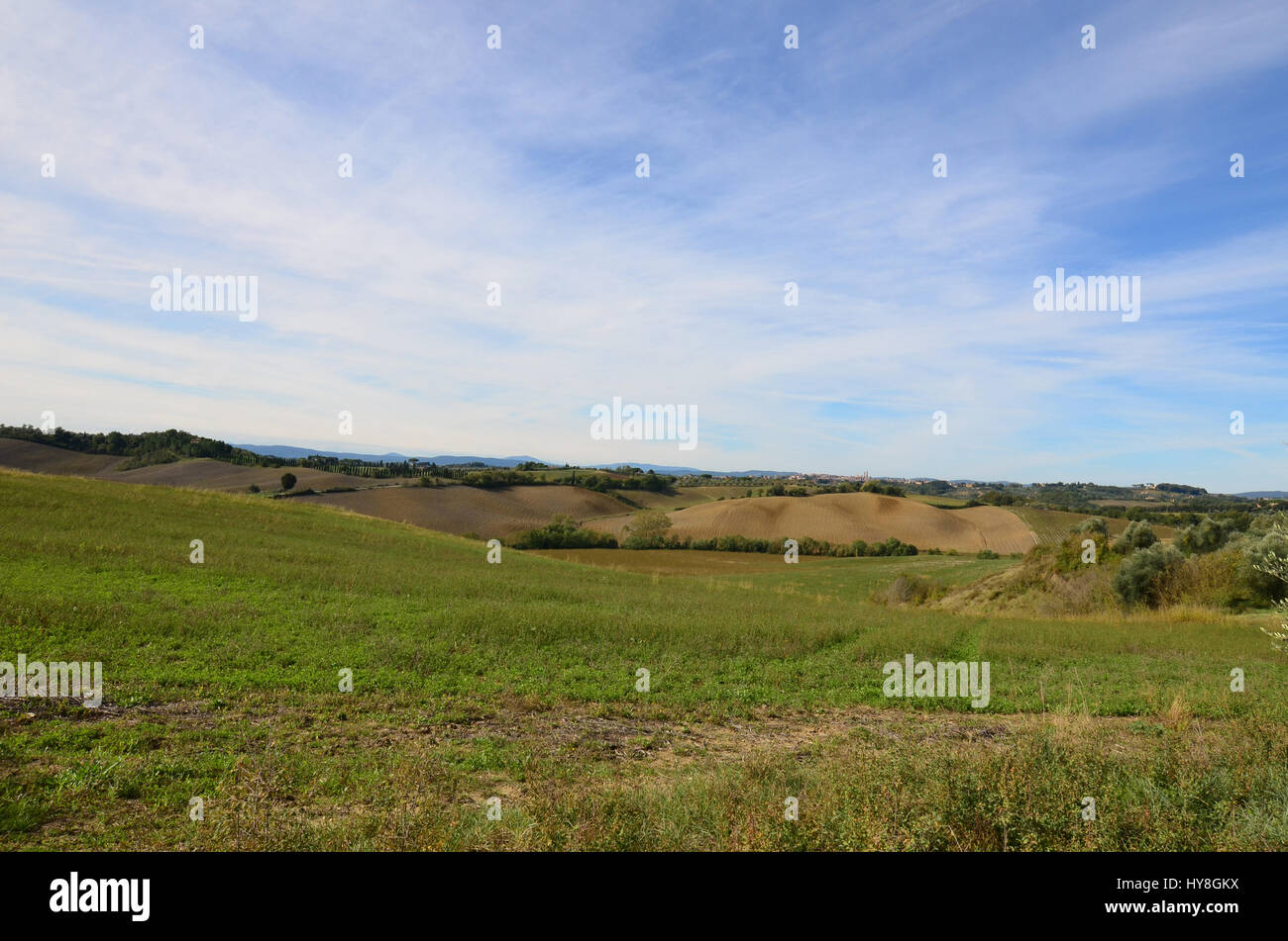 Gorgeous rolling hills and fields in Tuscany Italy Stock Photo - Alamy