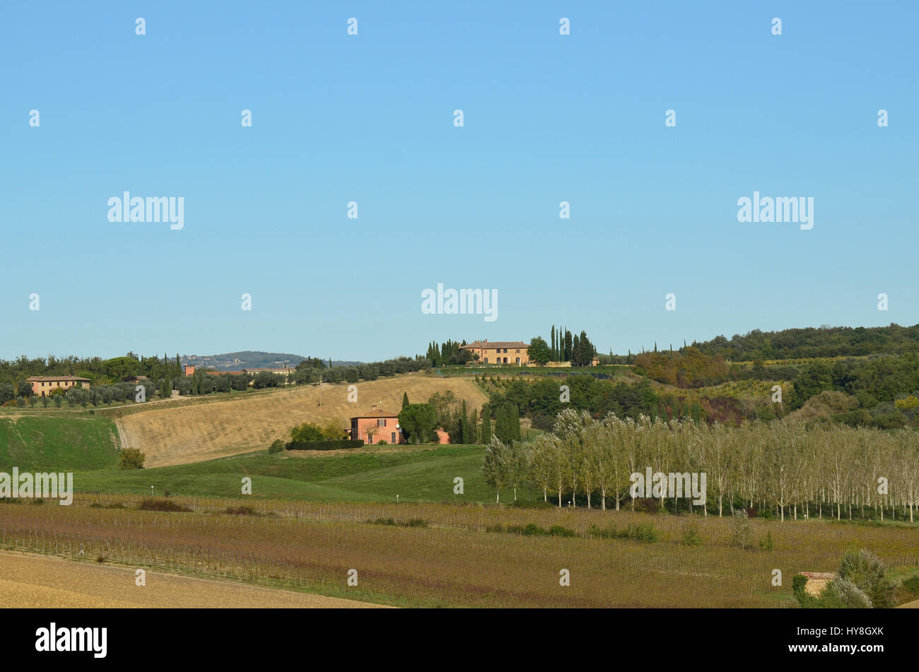 Gorgeous winery in Tuscany with breathtaking vineyards Stock Photo - Alamy