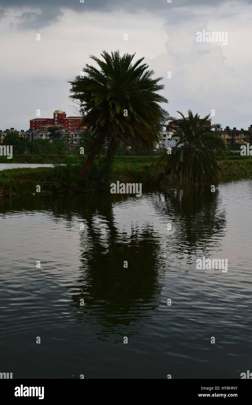 Beauty of Nature Stock Photo - Alamy