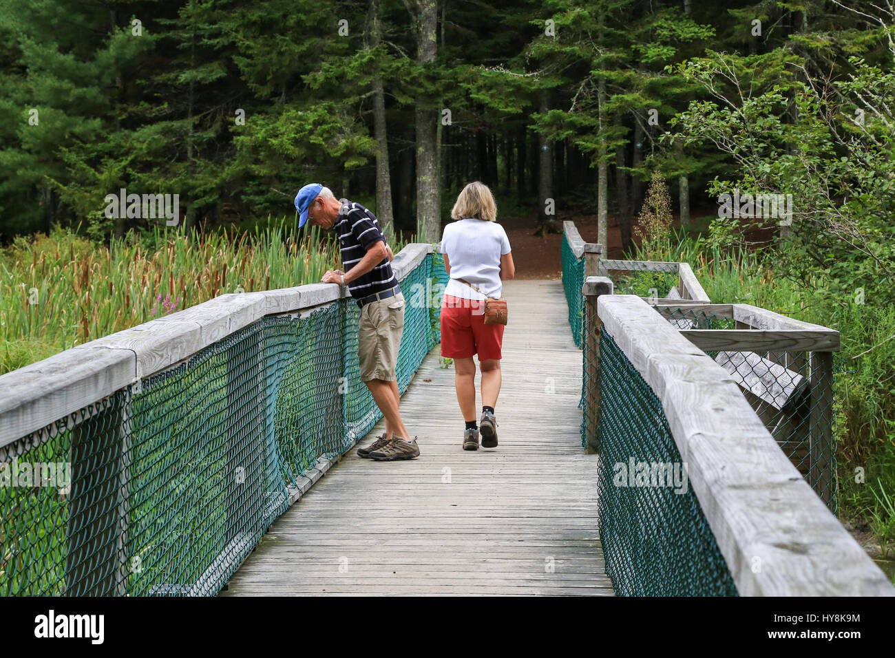 Hikers foot hi-res stock photography and images - Alamy