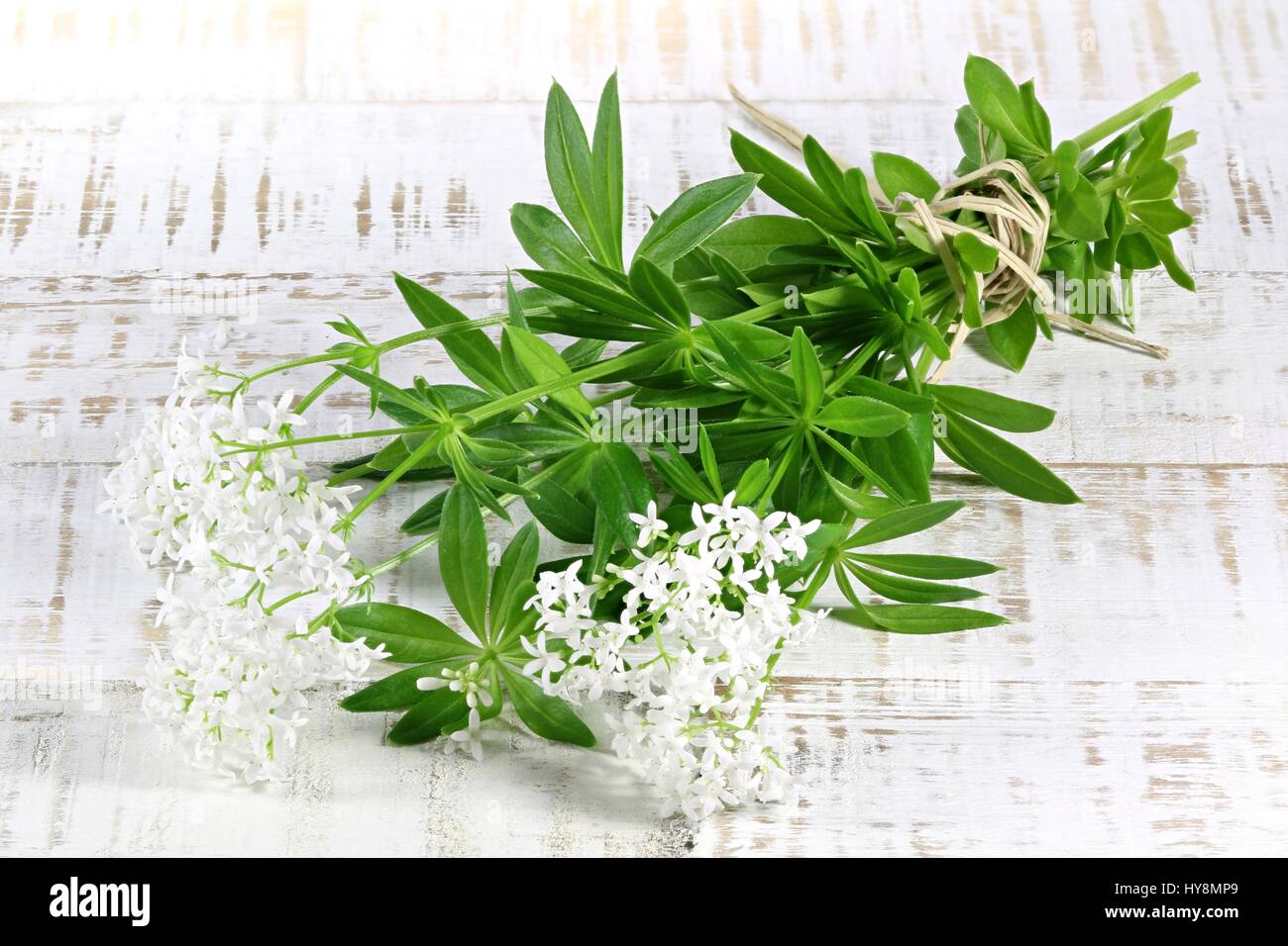 Woodruff flavor hi-res stock photography and images - Alamy
