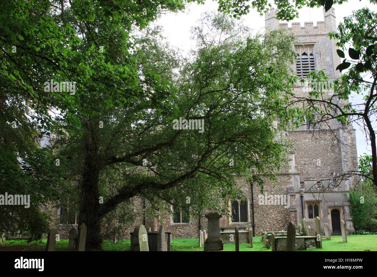 Great dunmow hi-res stock photography and images - Alamy