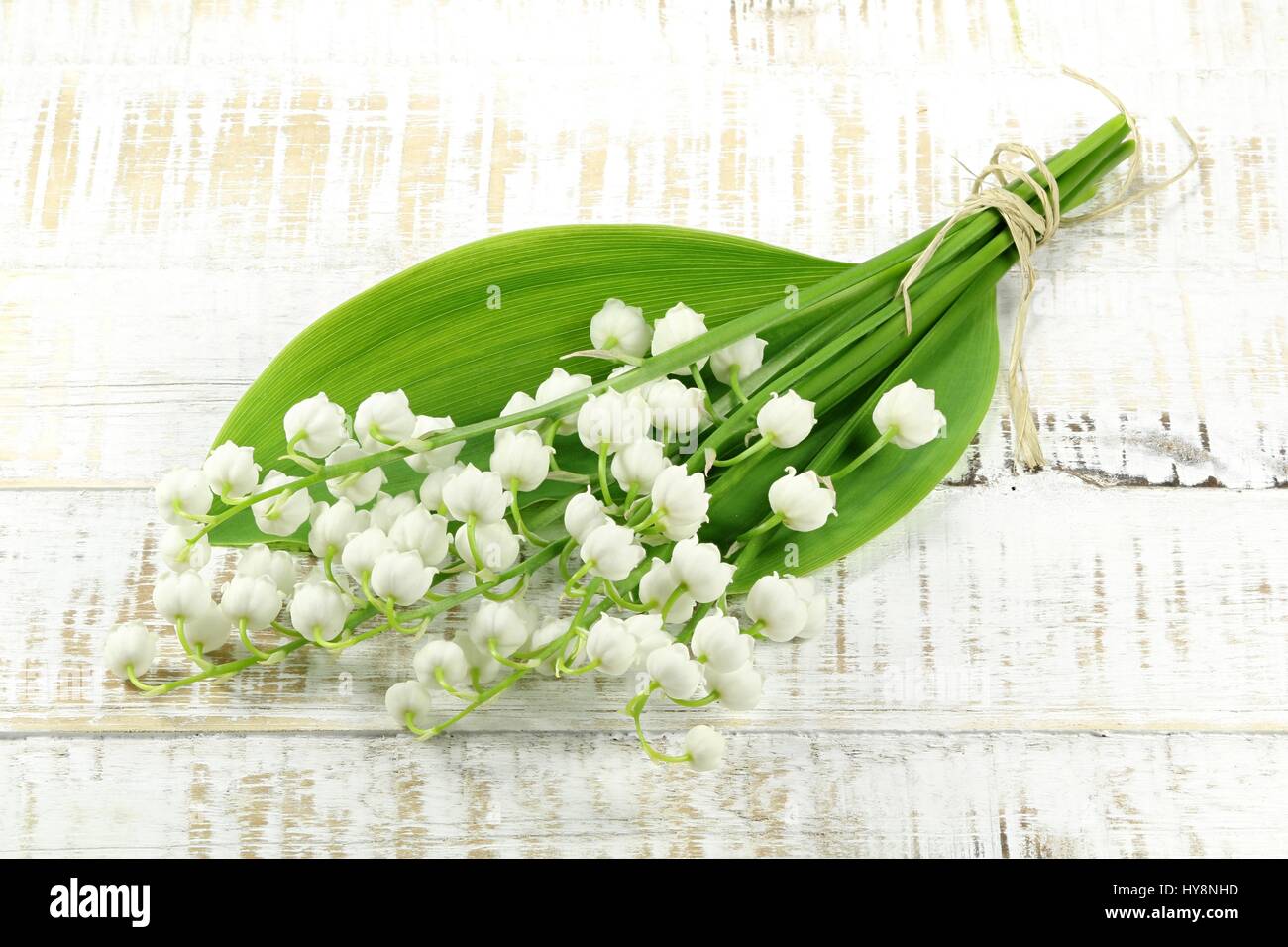 Lily bunch hi-res stock photography and images - Alamy